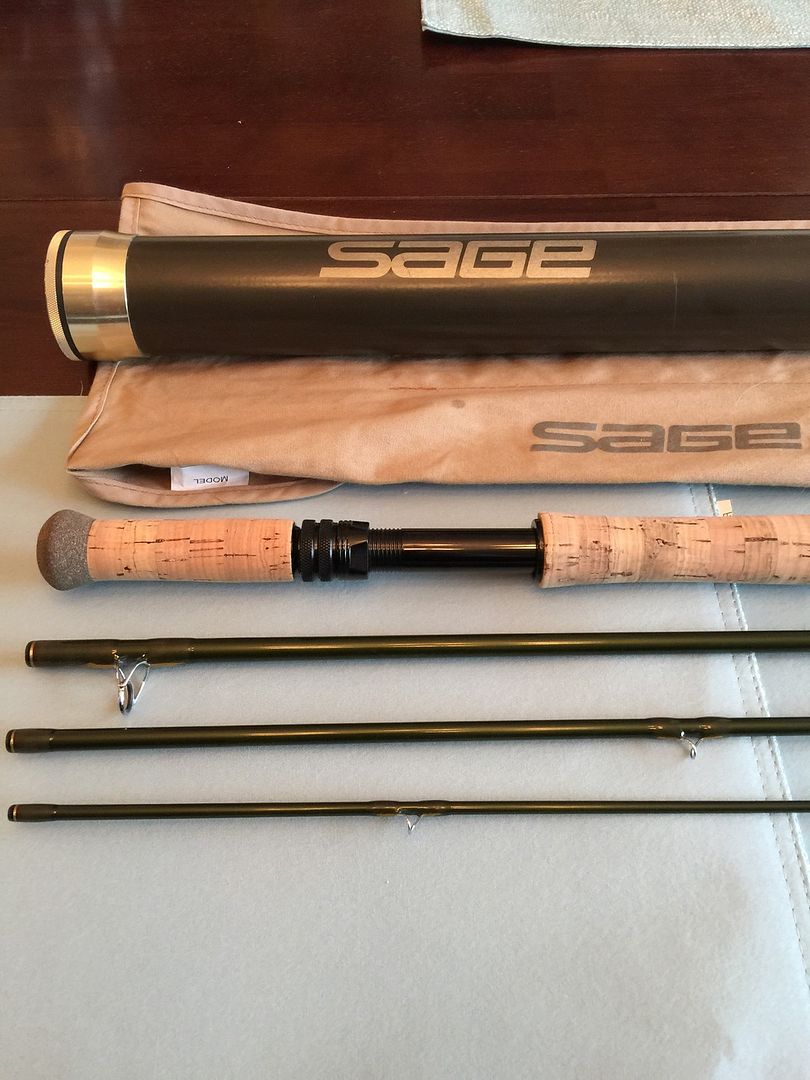 Sage Z Axis 6110 | Spey Pages