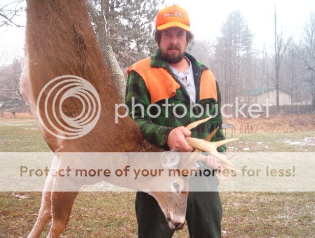 Canadian Trappers Talk Forum • View topic - some maine deer