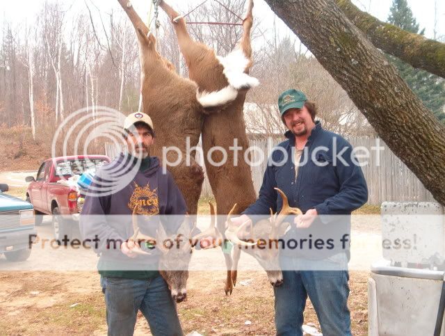 Canadian Trappers Talk Forum • View topic - some maine deer