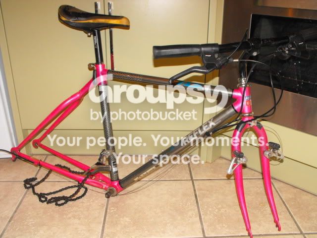 1989 Reflex 89 frame and forks/complete build | Retrobike