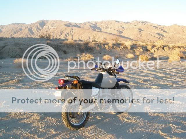 Where to buy saddle bags | TW200 Forum