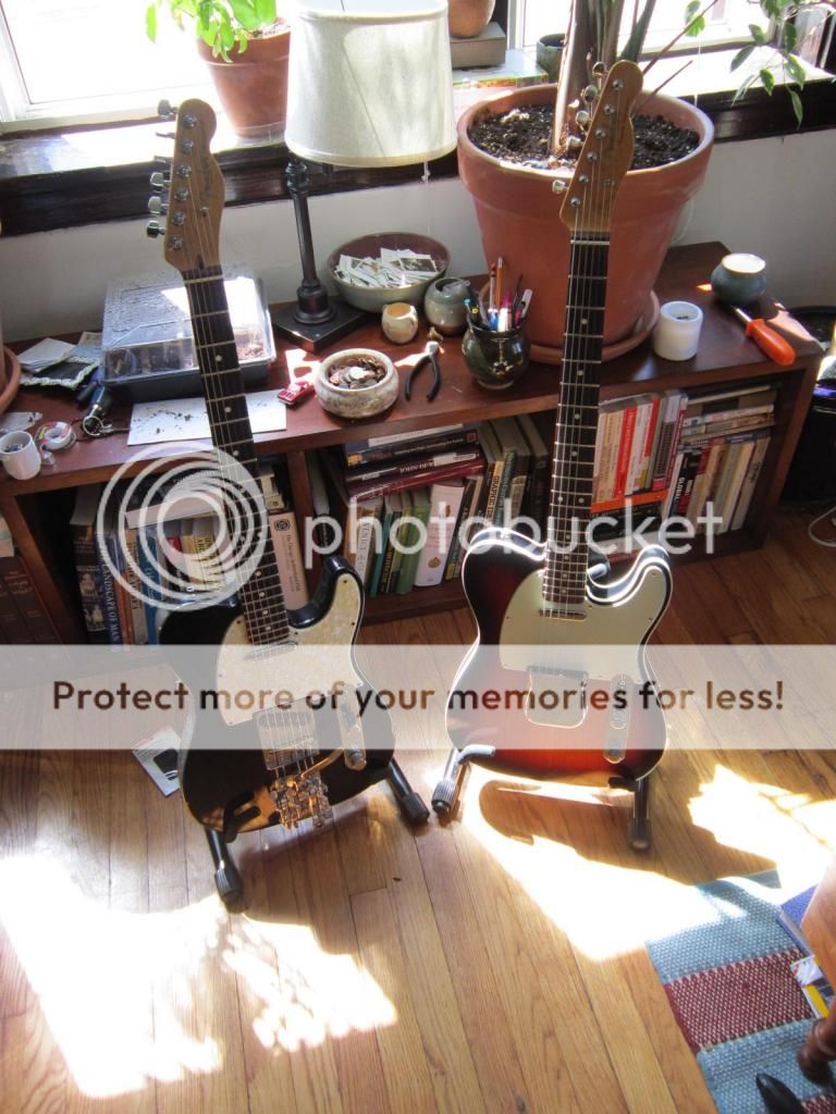 Fender Jazzmaster Vs Telecaster at Rose Tims blog