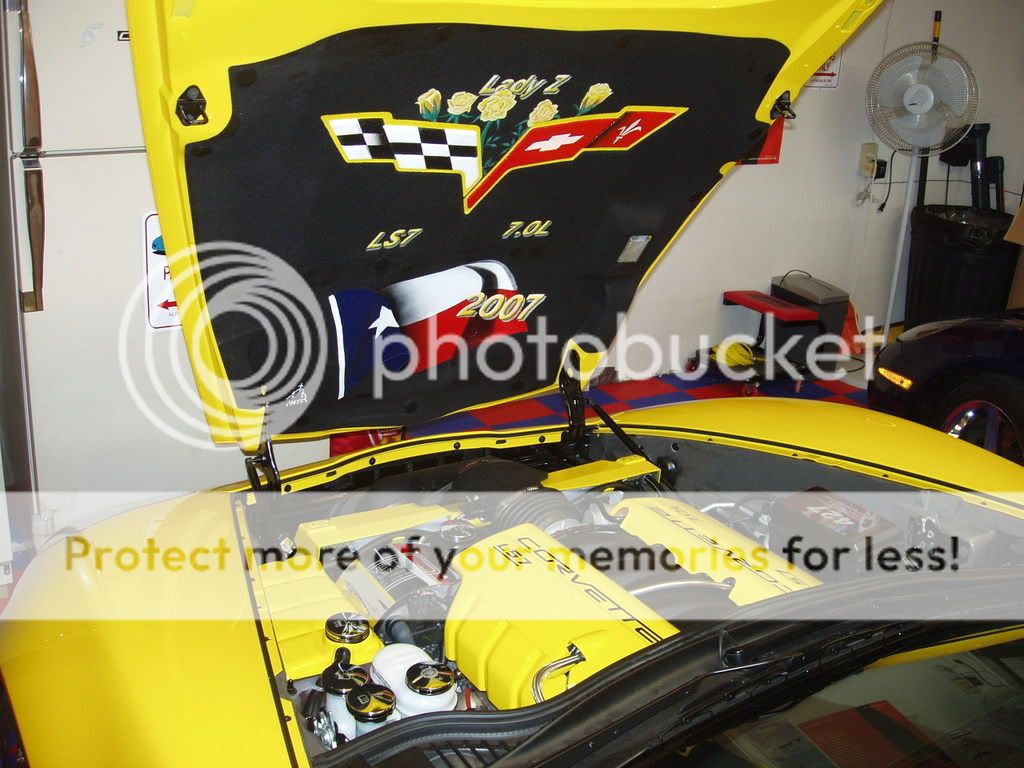 So, your engine bay rocks....show me some pics - Page 8 - CorvetteForum ...
